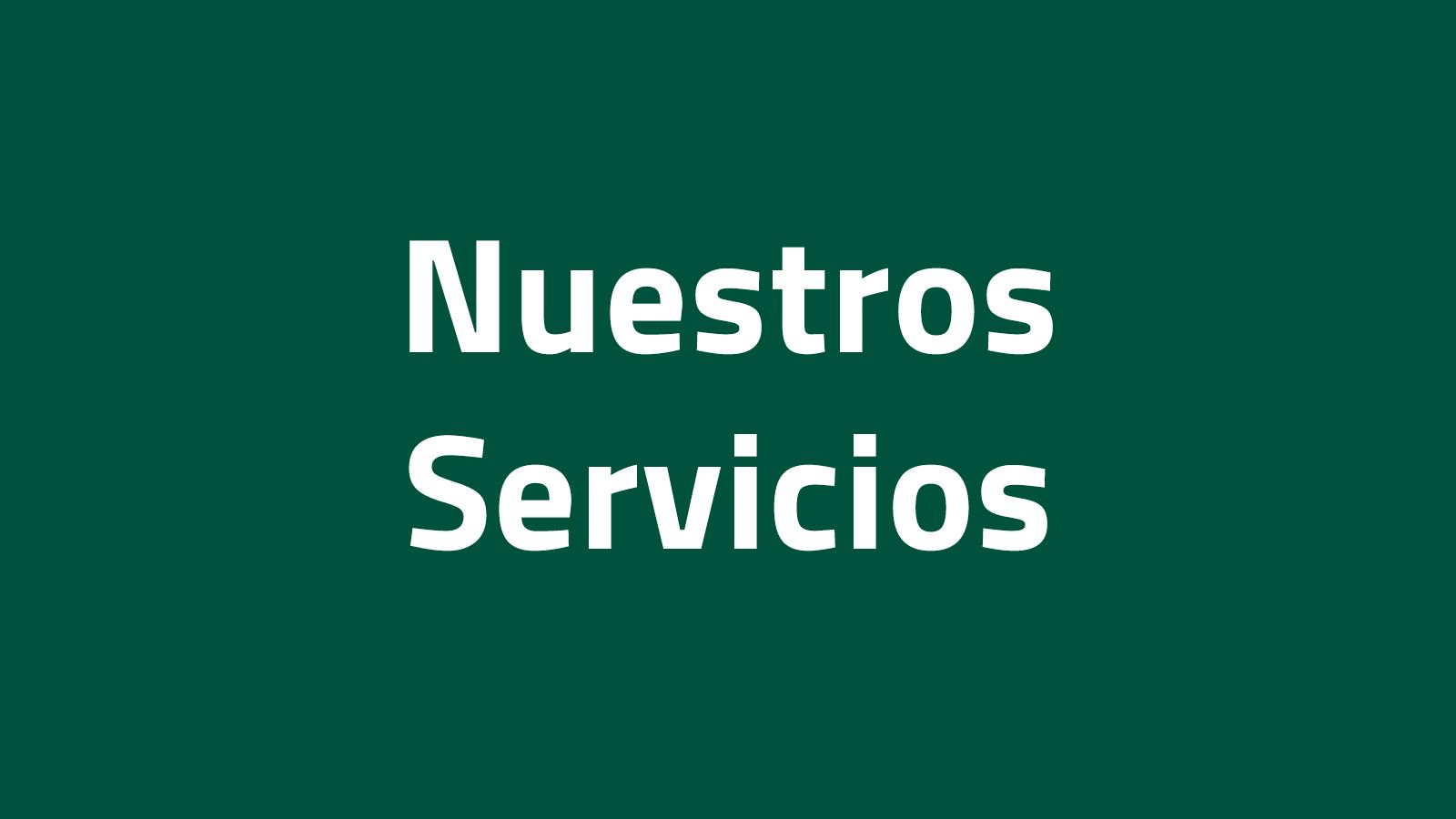 Nuestros servicios